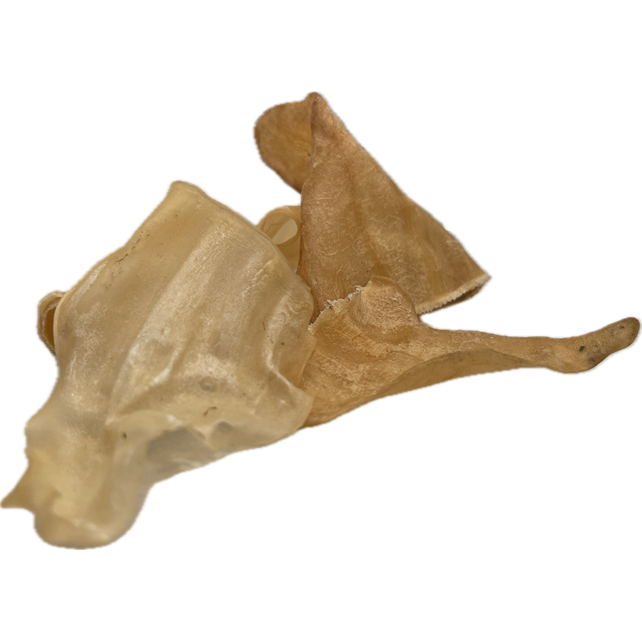 Water Buffalo Ear - Pack of 50 – Fetchin Brands LLC