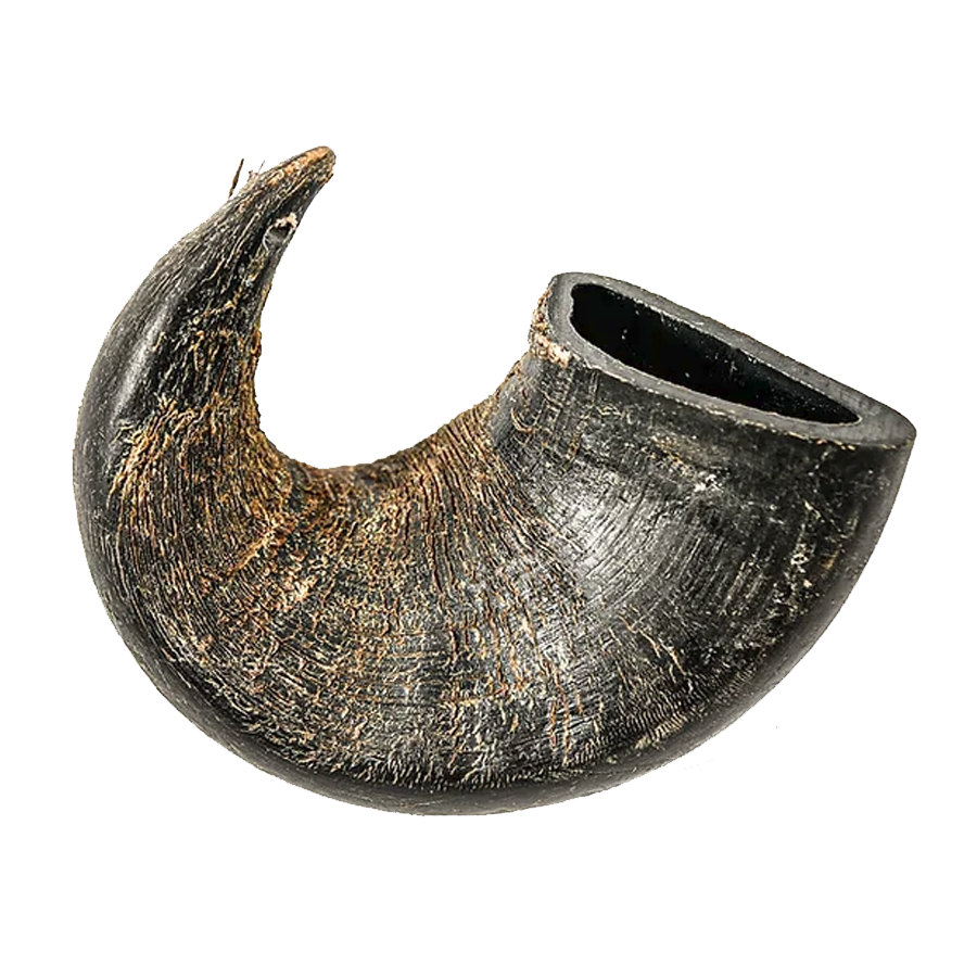 Water Buffalo Horn - Large – Fetchin Brands LLC